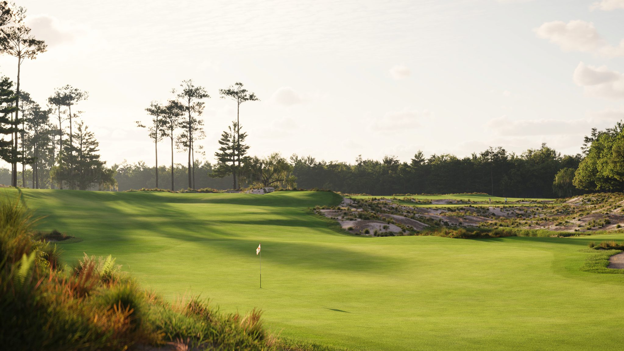 Cabot Barrens - Animation - Harris Kalinka