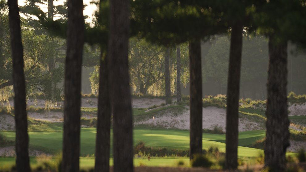 Cabot Barrens - Animation - Harris Kalinka